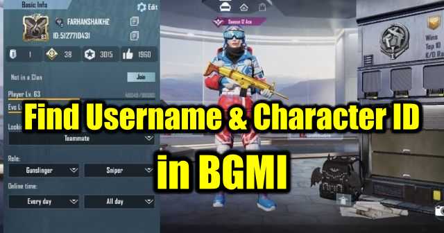 How to find BGMI (IGN) user names and Character ID? - Playerzon blog ...